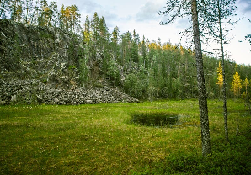 A Beautiful Rocky Forest Landscape in Finland Stock Image - Image of ...