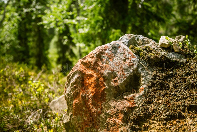 A Beautiful Rocky Forest Landscape in Finland Stock Image - Image of ...