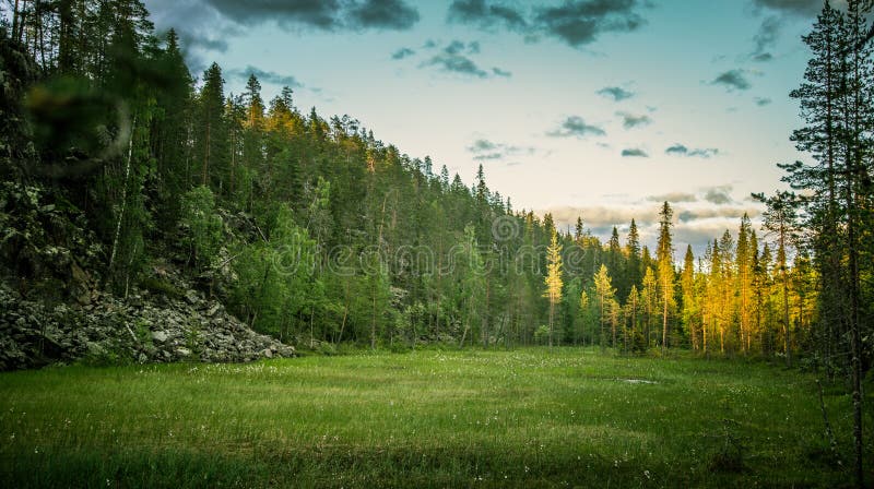 A Beautiful Rocky Forest Landscape in Finland Stock Photo - Image of ...