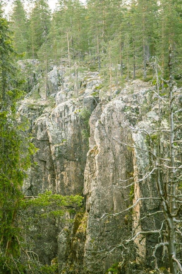 A Beautiful Rocky Forest Landscape in Finland Stock Photo - Image of ...