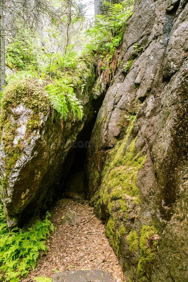 A Beautiful Rocky Forest Landscape in Finland Stock Photo - Image of ...