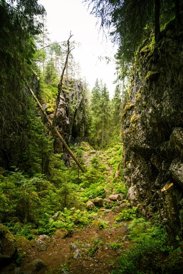 A Beautiful Rocky Forest Landscape in Finland Stock Photo - Image of ...