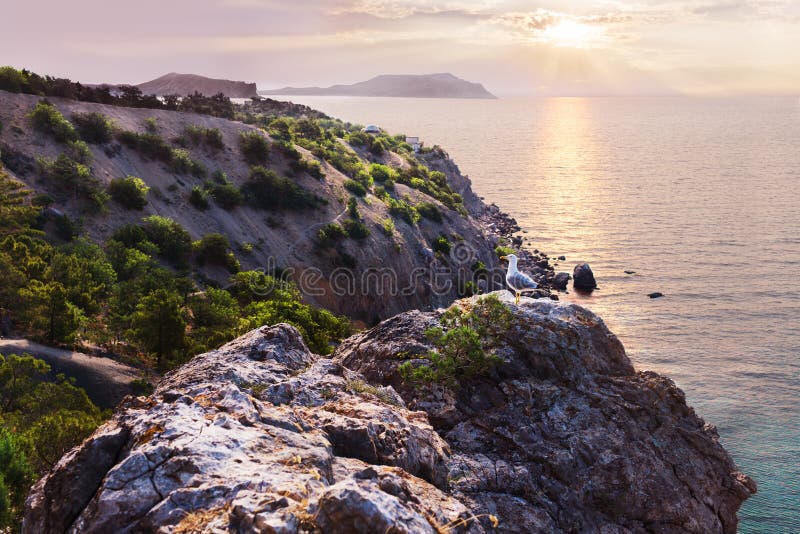 Beautiful rocky sea coast stock image. Image of outdoor - 32501925