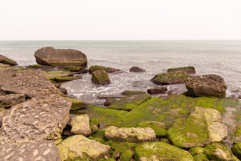 Beautiful rocky seashore stock photo. Image of view - 252622862
