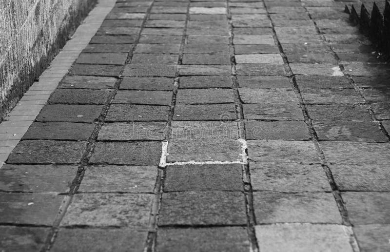 Beautiful Rocky Streets in a Park Stock Image - Image of botanical ...