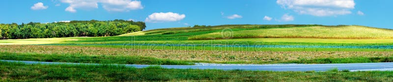 Beautiful Rolling Corn Field Hills in Pennsylvania Stock Image - Image ...