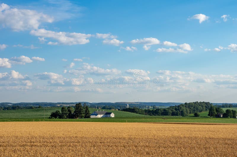 Rolling Farmland Countryside Stock Photo - Image of scenery, rural ...