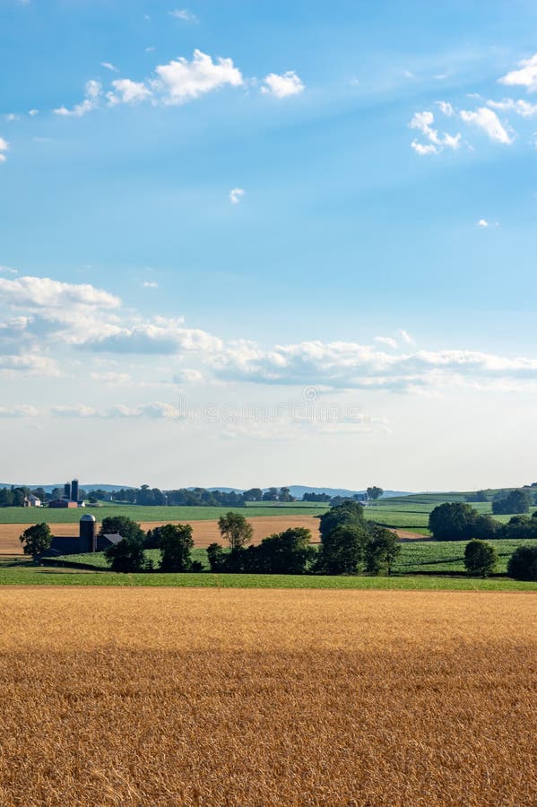 Rolling Farmland Countryside Stock Photo - Image of scenery, rural ...
