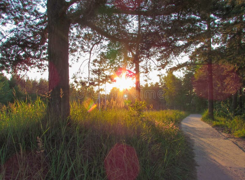 Beautiful Romantic Landscape Stock Photo - Image of rays, sunny: 50257856