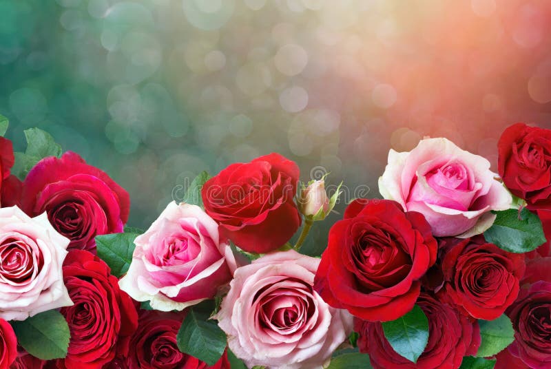 Beautiful Romantic Roses Flowers with Copyspace Stock Illustration ...