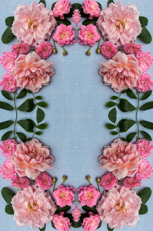 Beautiful, Romantic Rosy Background Stock Image - Image of abstract ...