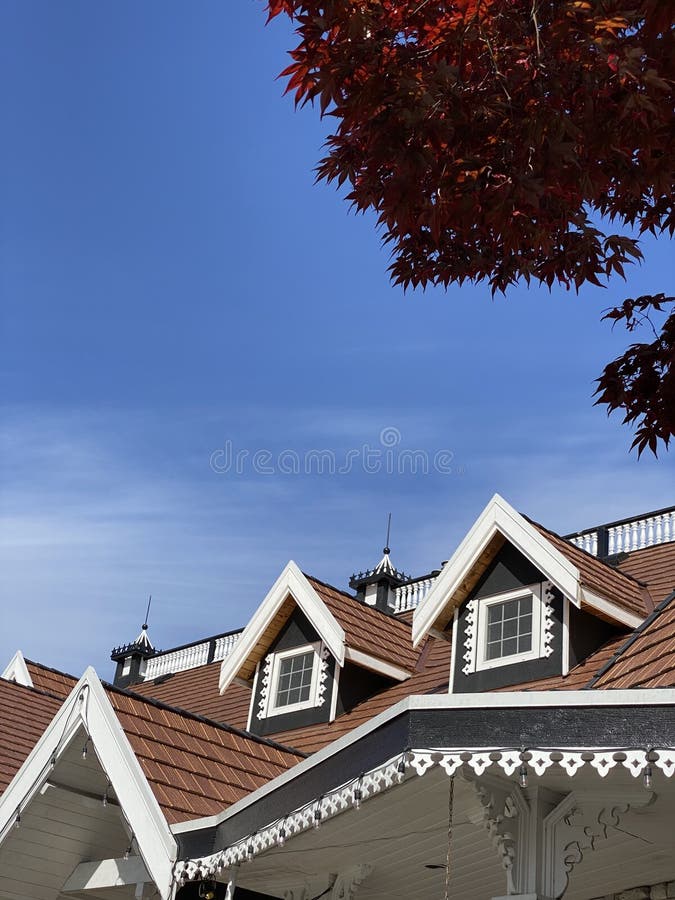 Beautiful Roof stock photo. Image of architecture, trim - 218502546