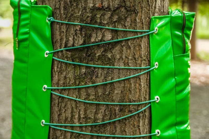 Beautiful Rope and Net Climbing in the Park on the Nature Stock Photo ...