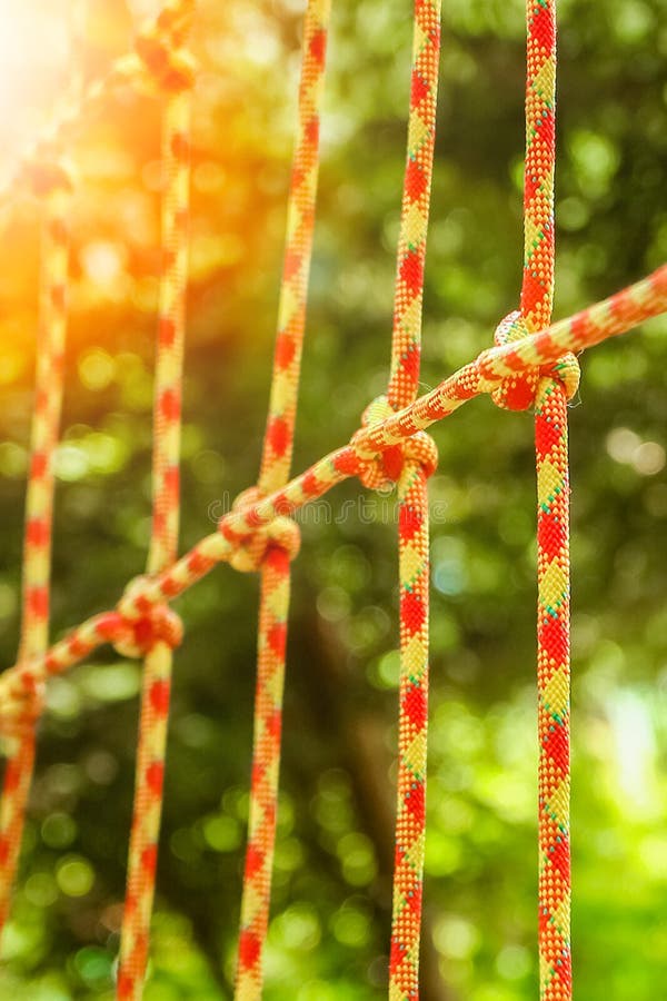 Beautiful Rope and Net Climbing in the Park on the Nature Stock Image ...
