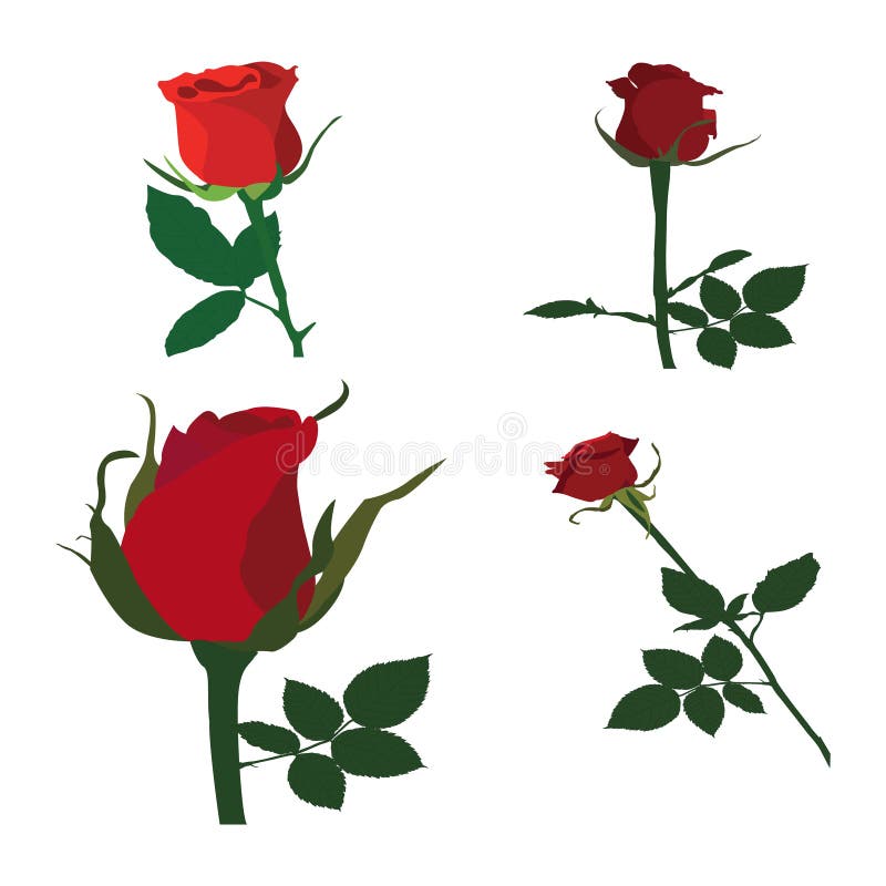 Blossom Avatar Stock Illustrations – 574 Blossom Avatar Stock ...