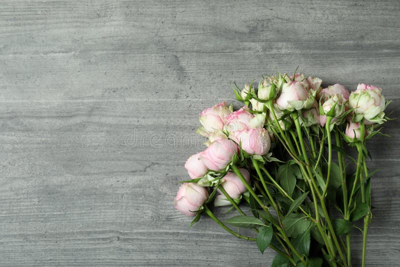 Beautiful Rose Flowers on Gray Textured Background Stock Photo - Image ...