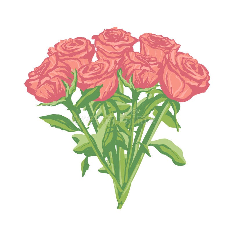 Beautiful Rose Hand Drawing Isolated on White Stock Vector ...