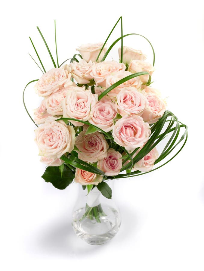 Beautiful Roses stock photo. Image of beautiful, beauty - 15602468