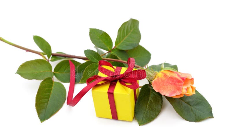 Beautiful roses with gifts stock image. Image of orangery - 203496215