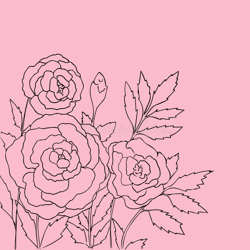 Beautiful Roses Isolated On Pink Background Hand Drawn Illustration Stock Vector