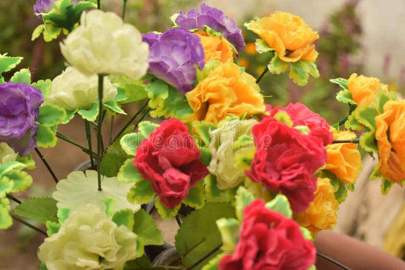 Beautiful roses stock image. Image of park, green, romantic - 101844767