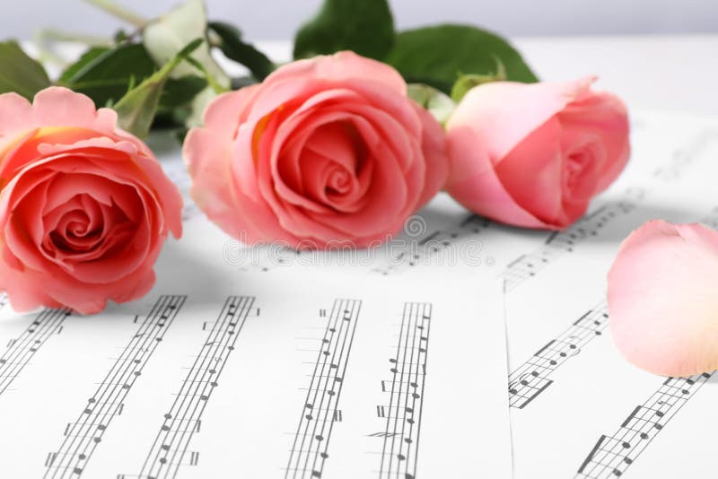Beautiful Roses on Sheets with Music Notes Stock Photo - Image of ...