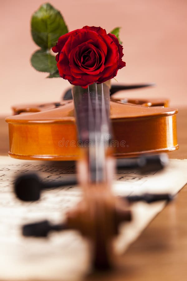 Beautiful Roses, Heart and Violin! Stock Image - Image of wood, violin ...