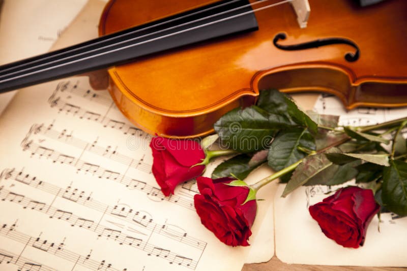 Beautiful Roses and Violin! Stock Photo - Image of viola, valentine ...