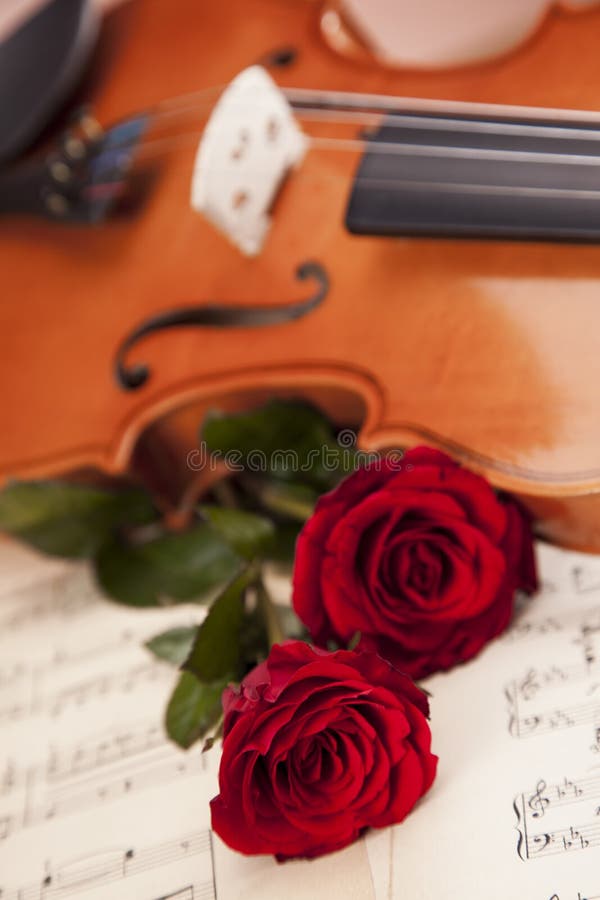 Beautiful Roses And Violin! Stock Image - Image of play, black: 27600943