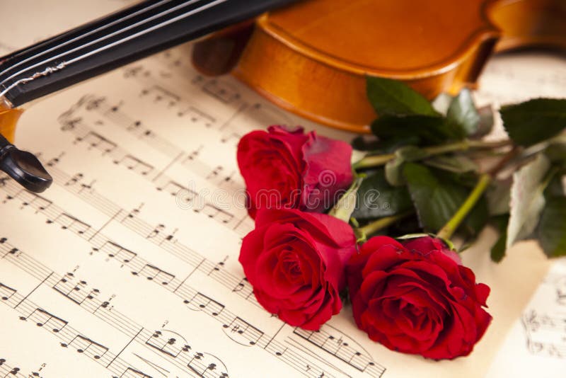 Beautiful Roses and Violin! Stock Image - Image of symbol, brown: 27997143