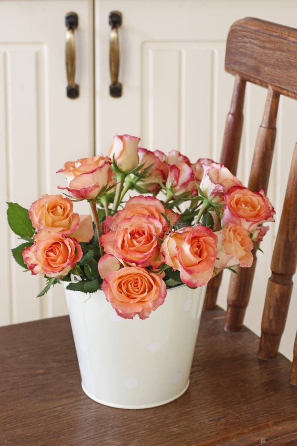 Beautiful Roses in White Decorative Bucket Stock Photo - Image of ...