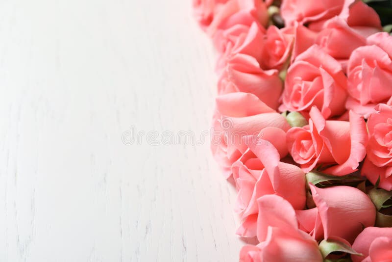 Beautiful roses on table stock image. Image of elegant - 123604617