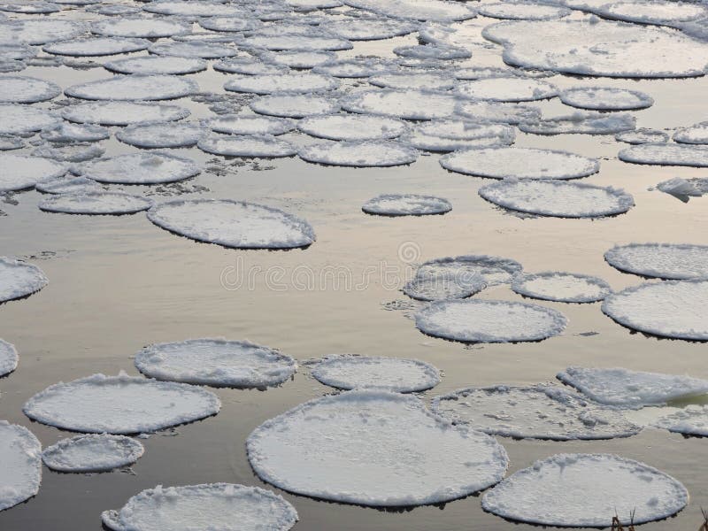 White Round Ice Pieces on River Current, Lithuania Stock Image - Image ...
