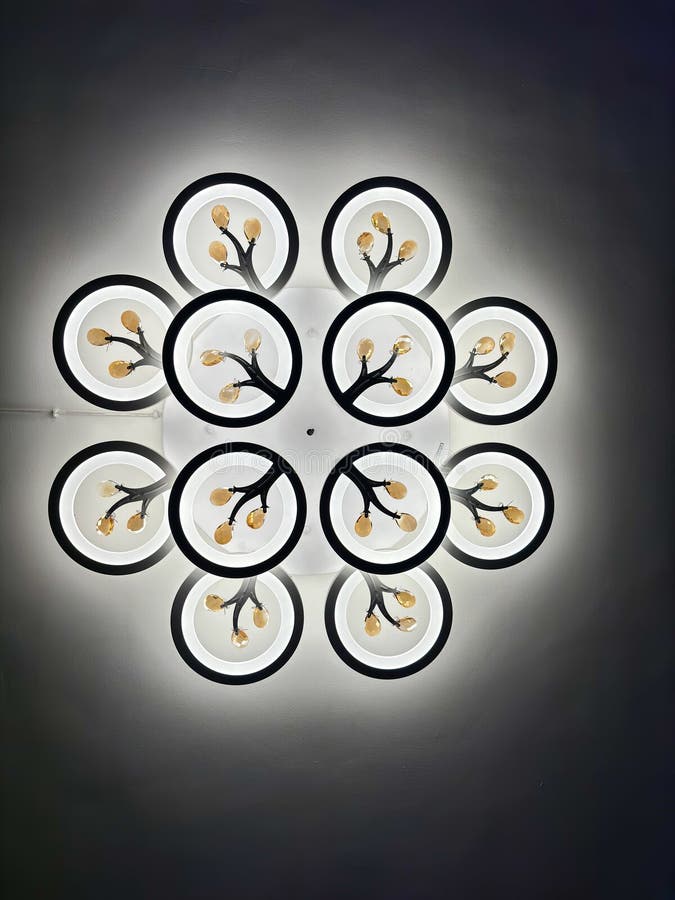 Beautiful Rounded Ceiling Mounted Light Fixtures with Modern LED Light ...