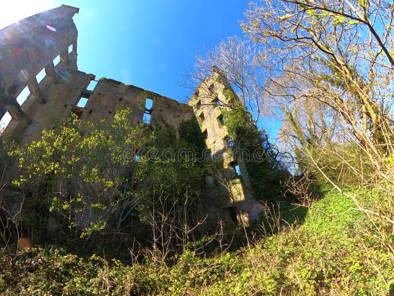 Ruins in Spring stock photo. Image of flowers, cover - 66287022