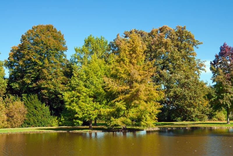 Beautiful rural landscape stock photo. Image of environment - 16465398