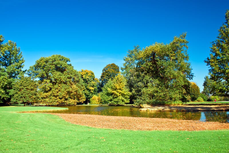 Beautiful rural landscape stock image. Image of sunlight - 16686235