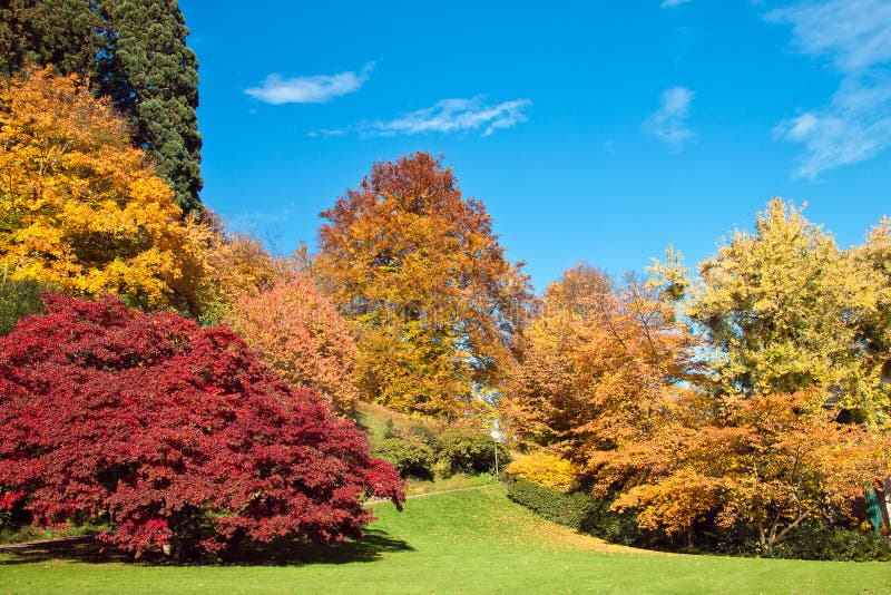 Beautiful rural landscape stock image. Image of cycle - 16758367