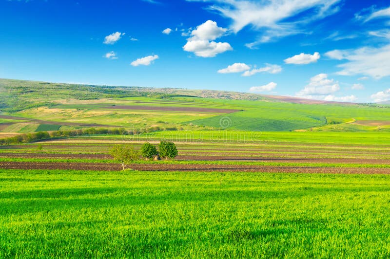 The rural landscape. stock photo. Image of paradise, countryside - 2765372