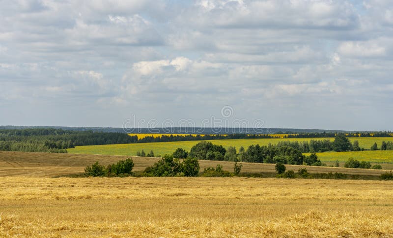 Beautiful Rural Landscape with Colorful Fields and Tree Plantations ...