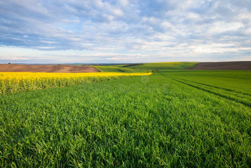Beautiful rural landscape stock photo. Image of agriculture - 55013320