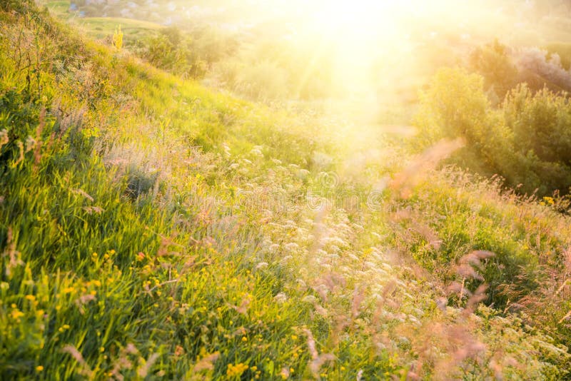 Beautiful Rural Landscape with Sunrise Over a Meadow. Stock Photo ...