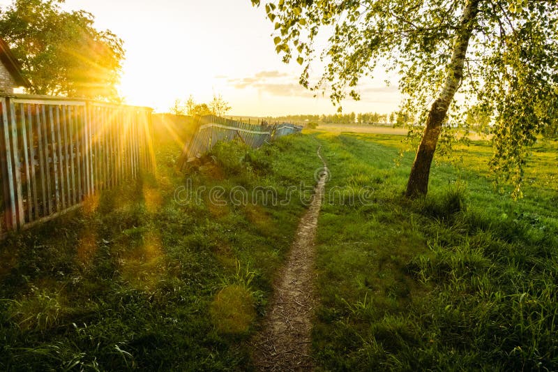 Beautiful Rural Landscape at Sunset Stock Photo - Image of path, season ...