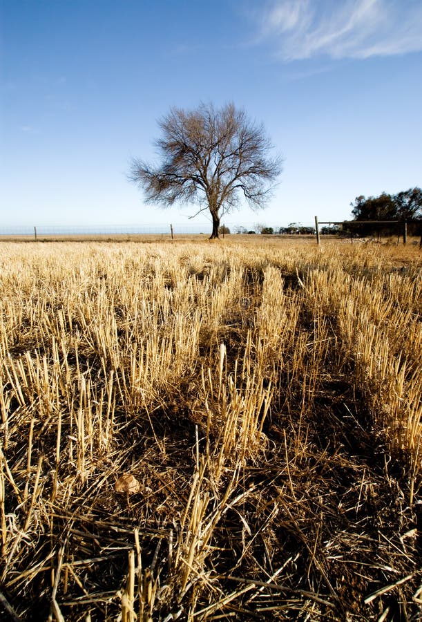 Rural Free Stock Photos & Pictures, Rural Royalty-Free and Public ...