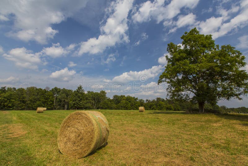 Beautiful rural scenery stock image. Image of forest - 34562989