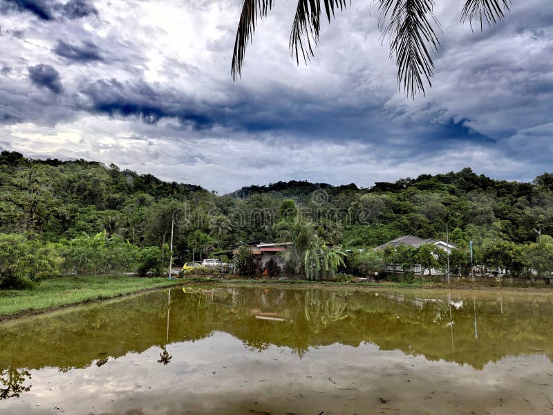 Beautiful Rural Scenery in Kuala Perlis Countryside, Malaysia. Stock ...