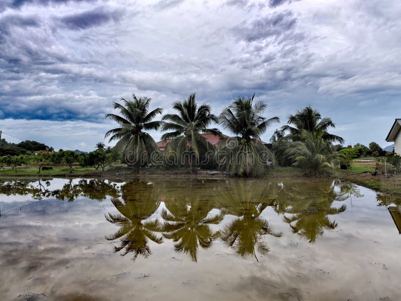 Beautiful Rural Scenery in Kuala Perlis Countryside, Malaysia. Stock ...