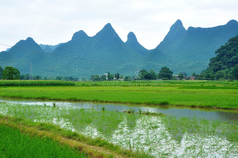 The Beautiful Rural Scenery in Spring Stock Image - Image of green ...