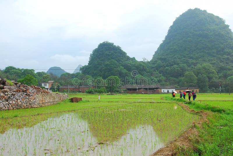 The Beautiful Rural Scenery in Spring Editorial Photo - Image of ...