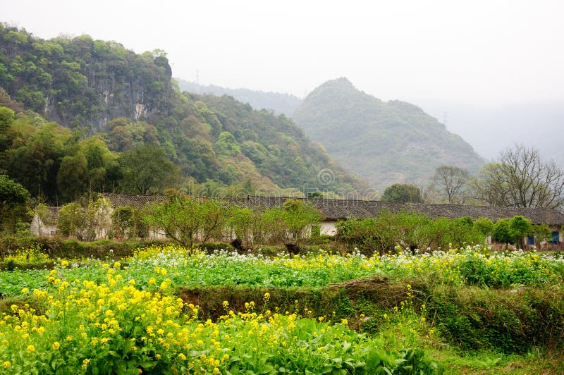 Beautiful Rural Scenery in Spring Stock Photo - Image of plant, guilin ...